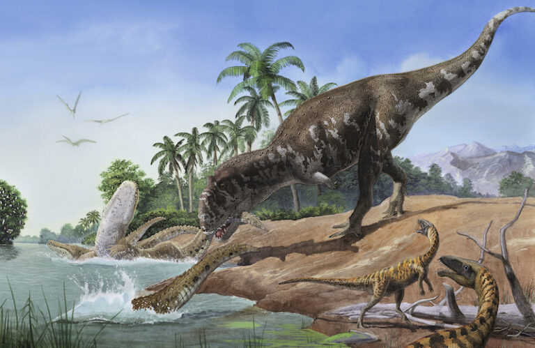 Descubren al dinosaurio depredador con las patas más cortas - Zombisnes