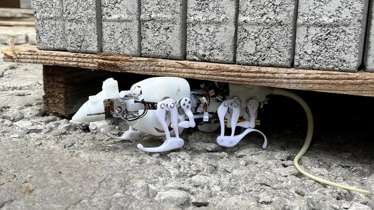 Asómbrate con SQuRO, la rata robot de rescate - Zombisnes